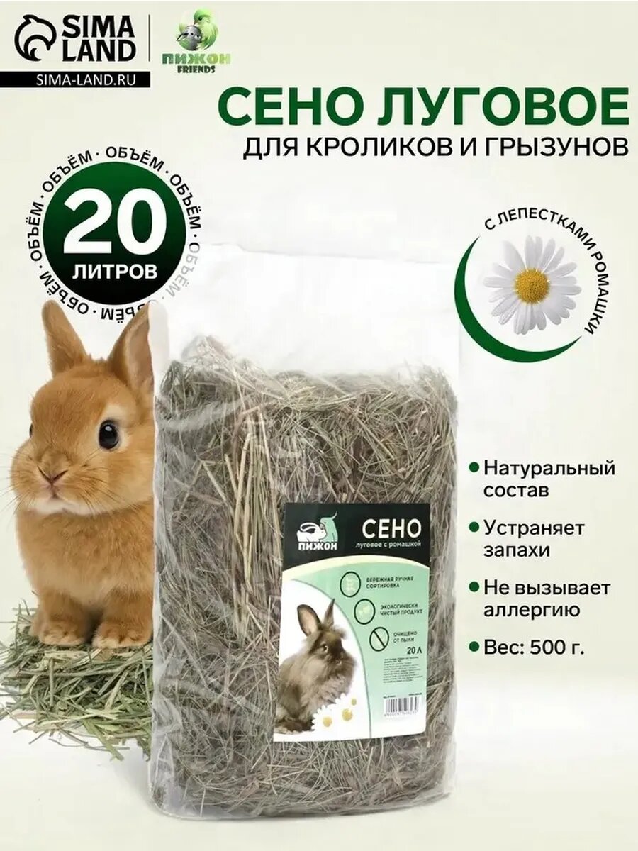 Натуральное луговое сено с ромашкой для грызунов