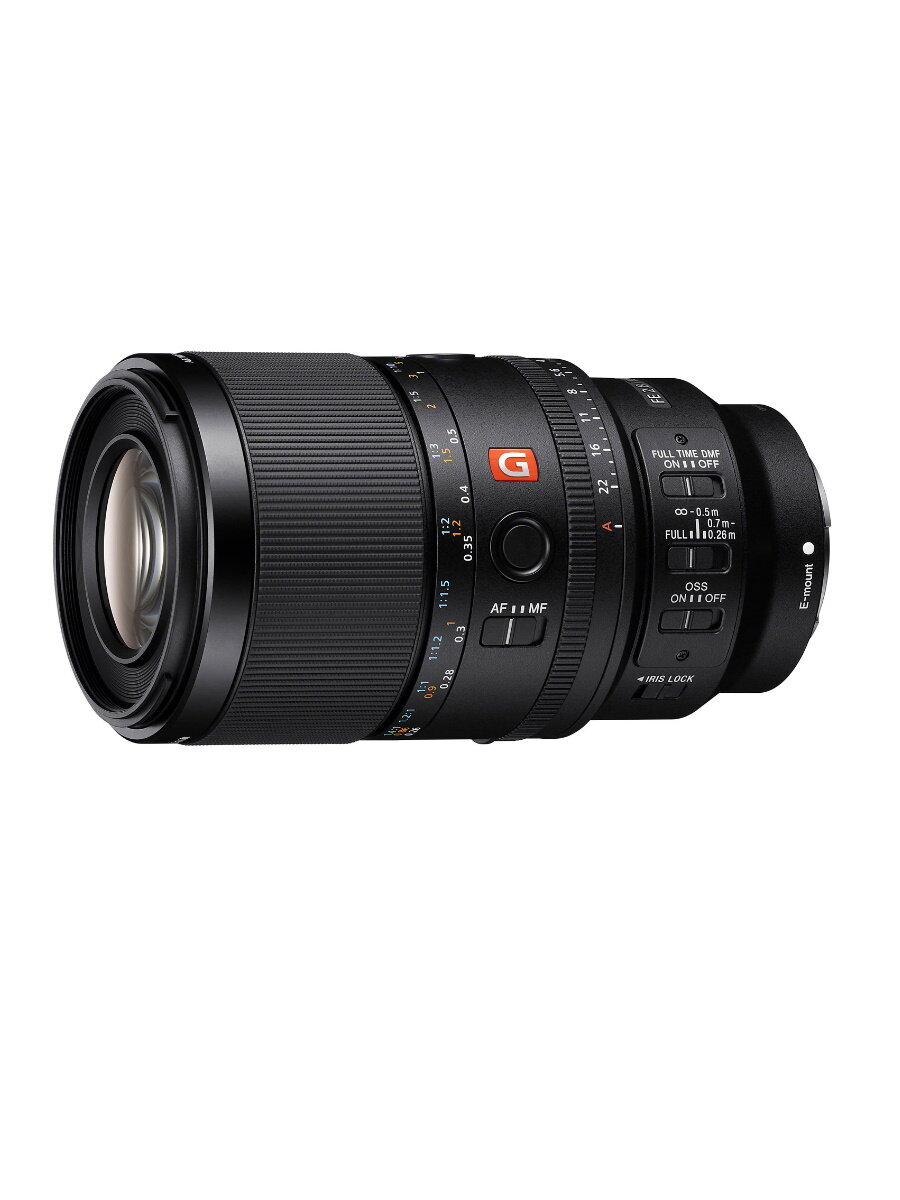 Объектив Sony FE 100mm f/2.8 Macro GM OSS