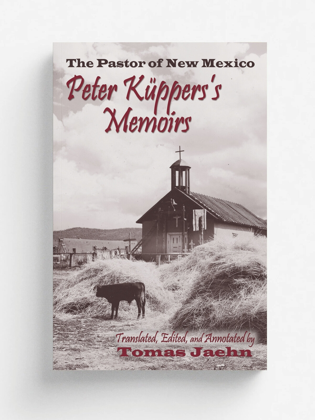 The Pastor of New Mexico