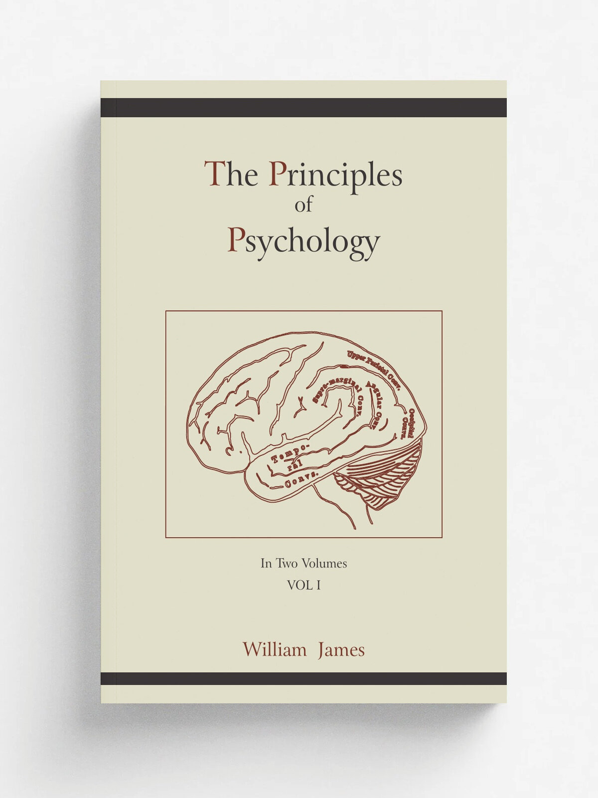The Principles of Psychology (Vol 1)