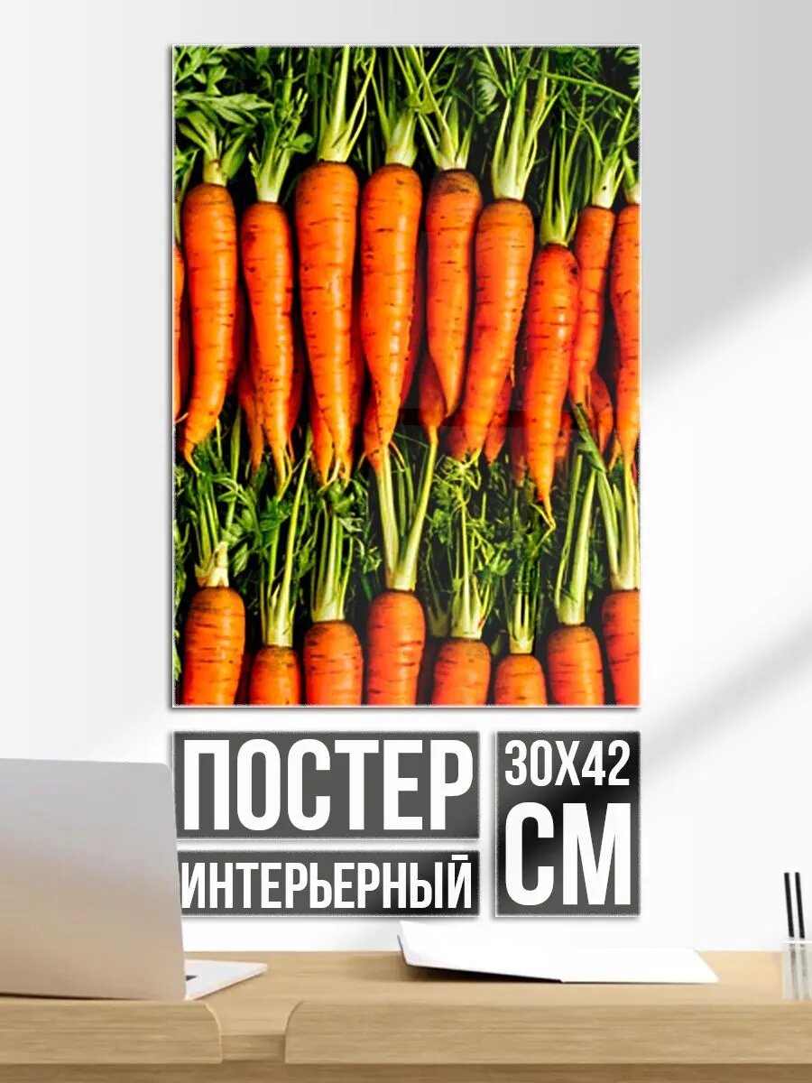 Постер на стену Морковь с ботвой