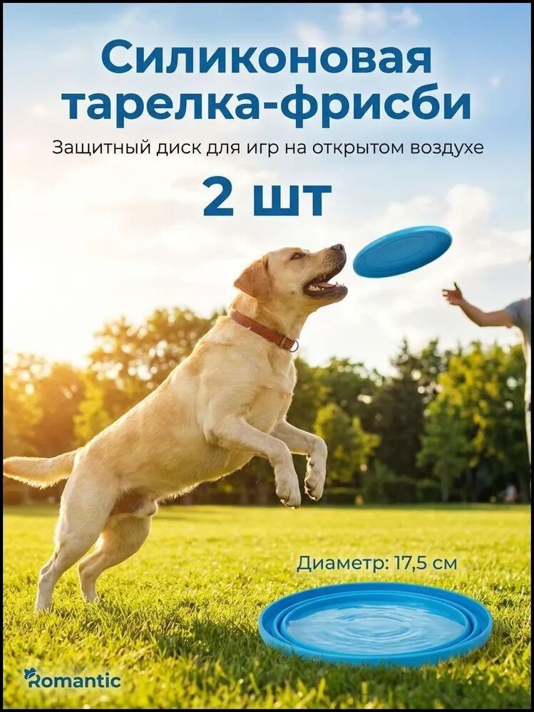 Фрисби