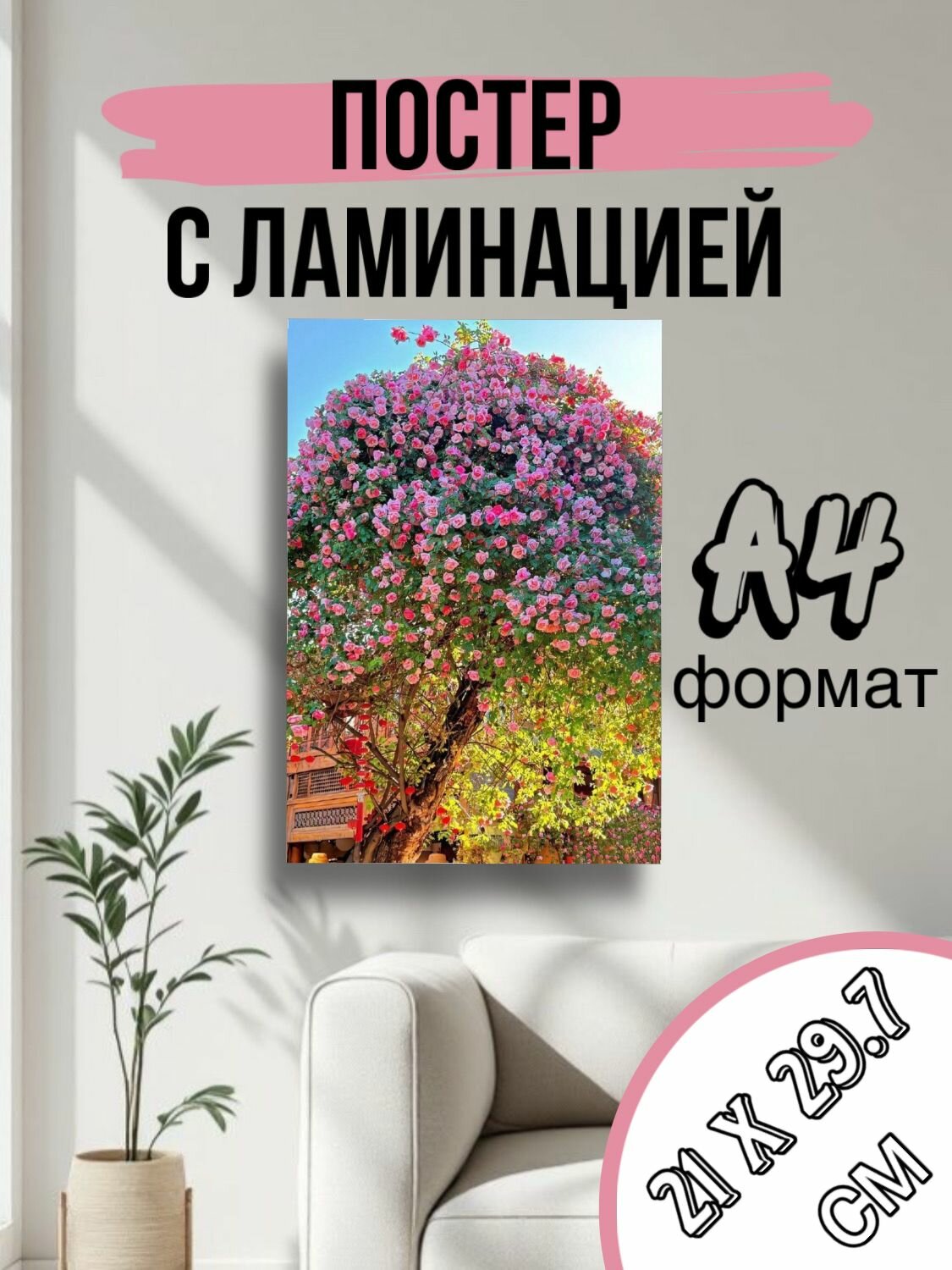 Постер