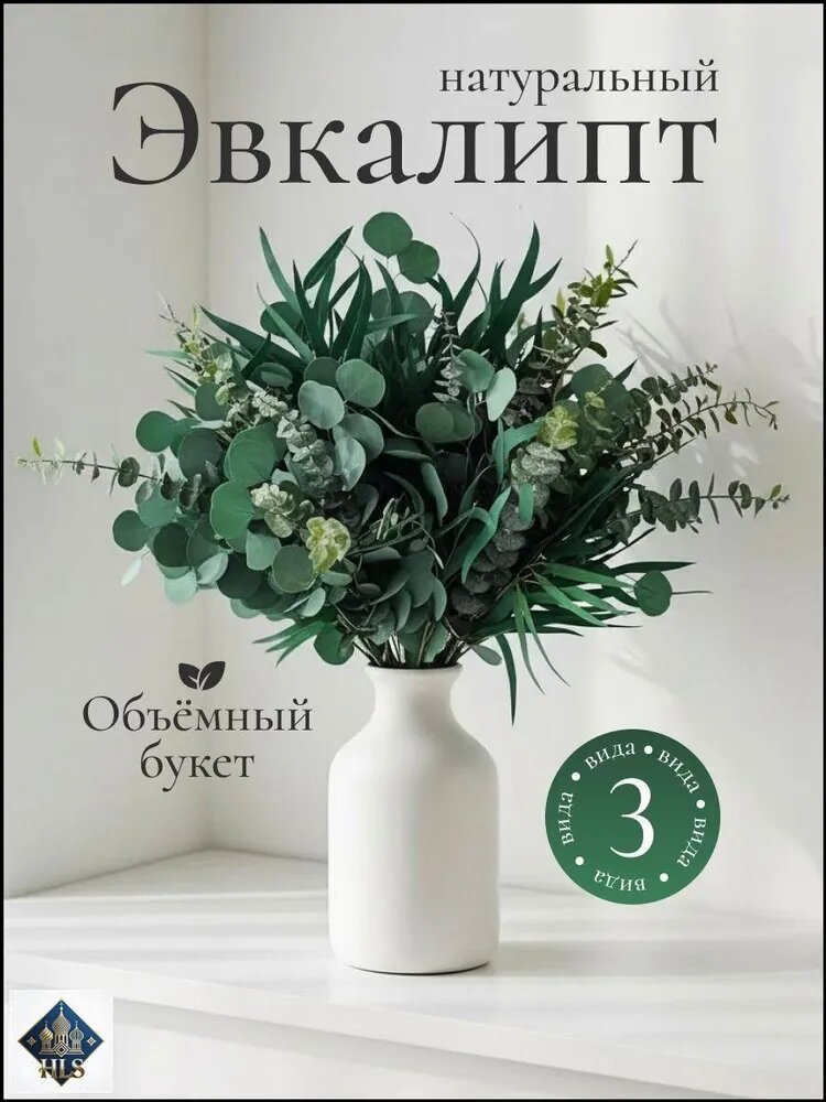 Сухоцветы Яблоня, 42 см