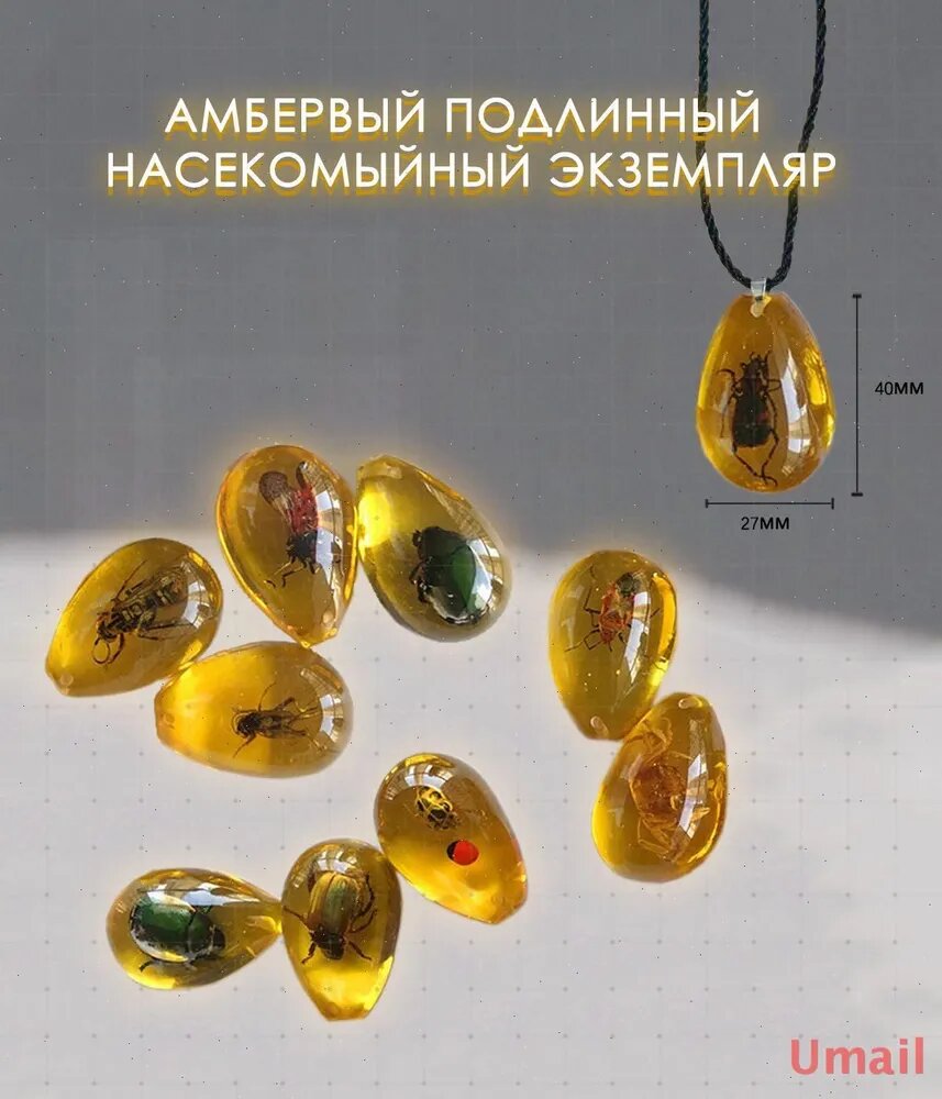Коллекционирование насекомых: Жуки в янтаре, 10 шт, размер 30-50 мм, Китай