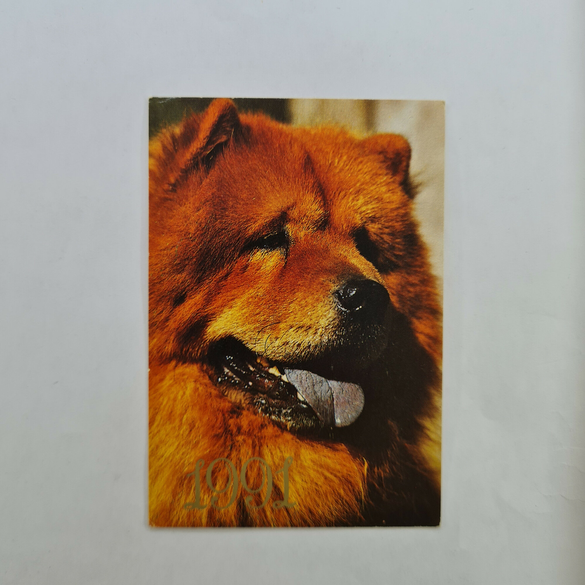 Карманный календарик СССР 1991. Собака, животные. Советский календарь винтажный коллекционный