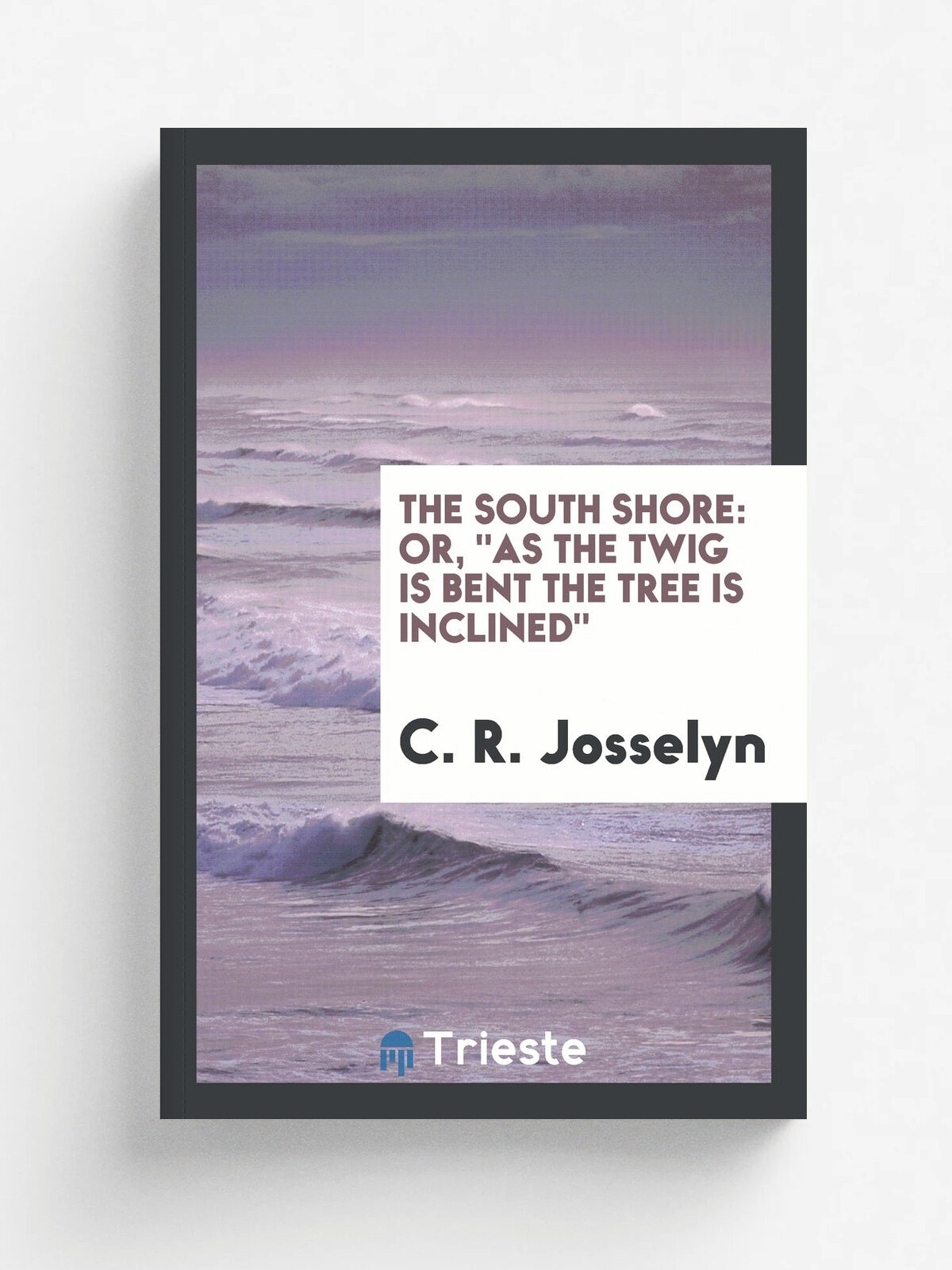 The South Shore. Or, "As the Twig is Bent the Tree is Inclined"