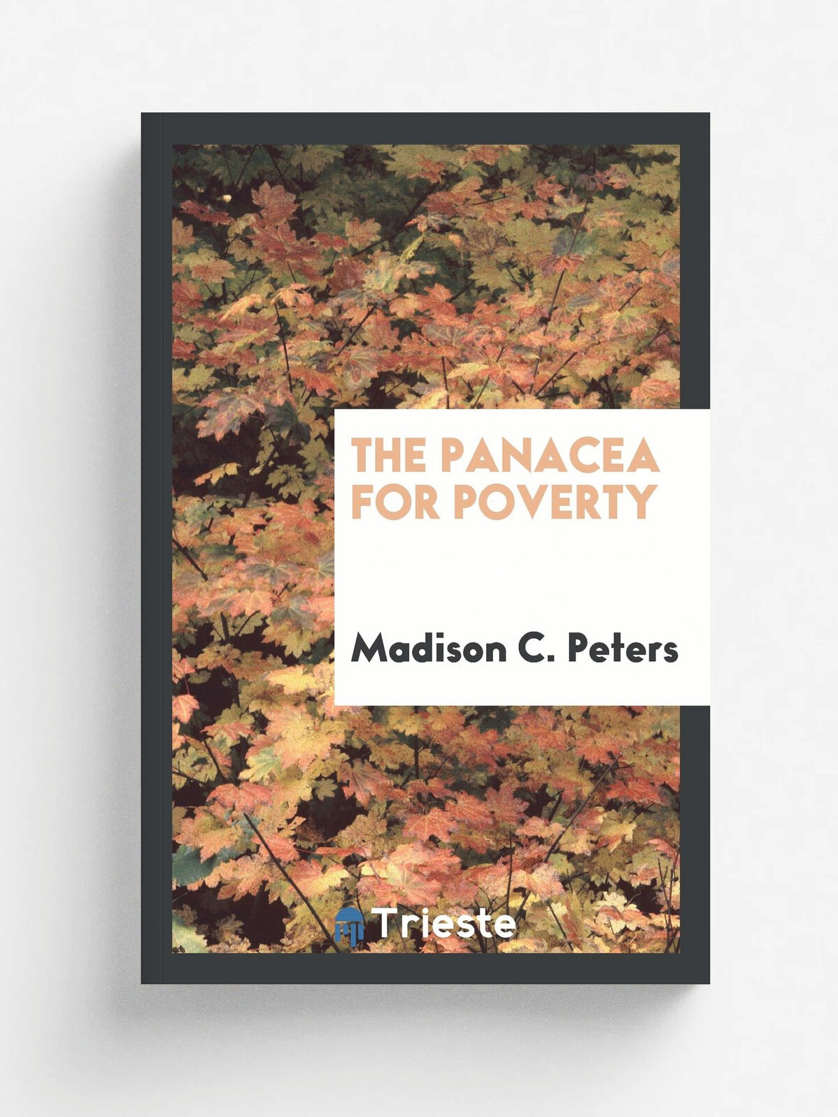 The panacea for poverty