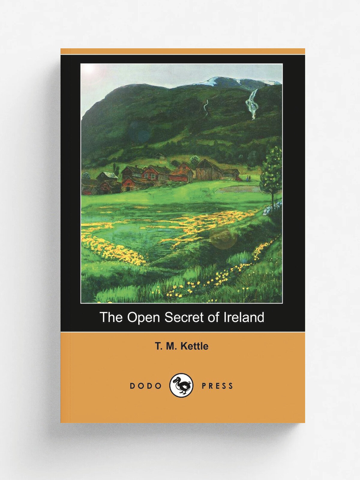 The Open Secret of Ireland (Dodo Press)