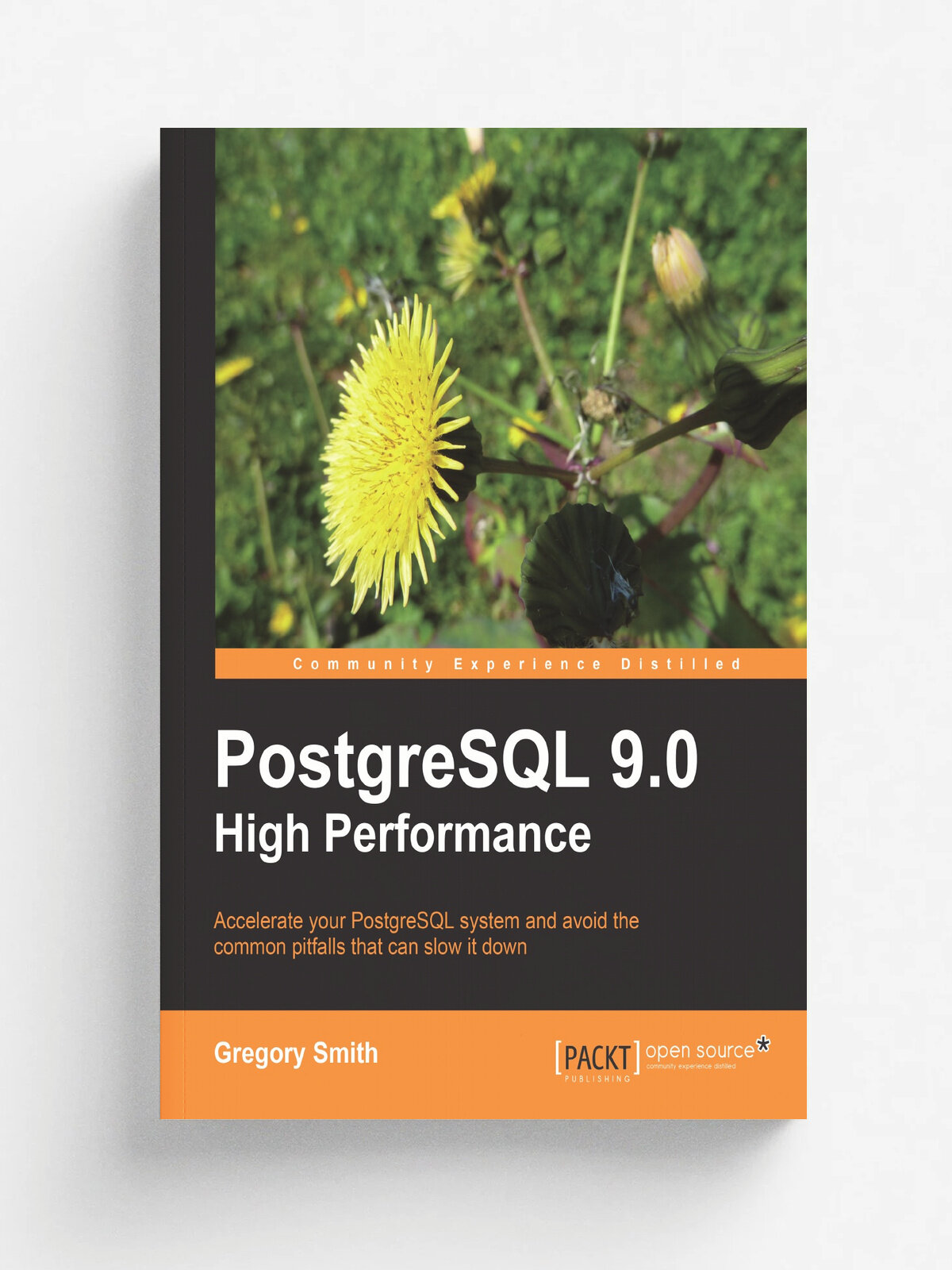 PostgreSQL 9.0 High Performance