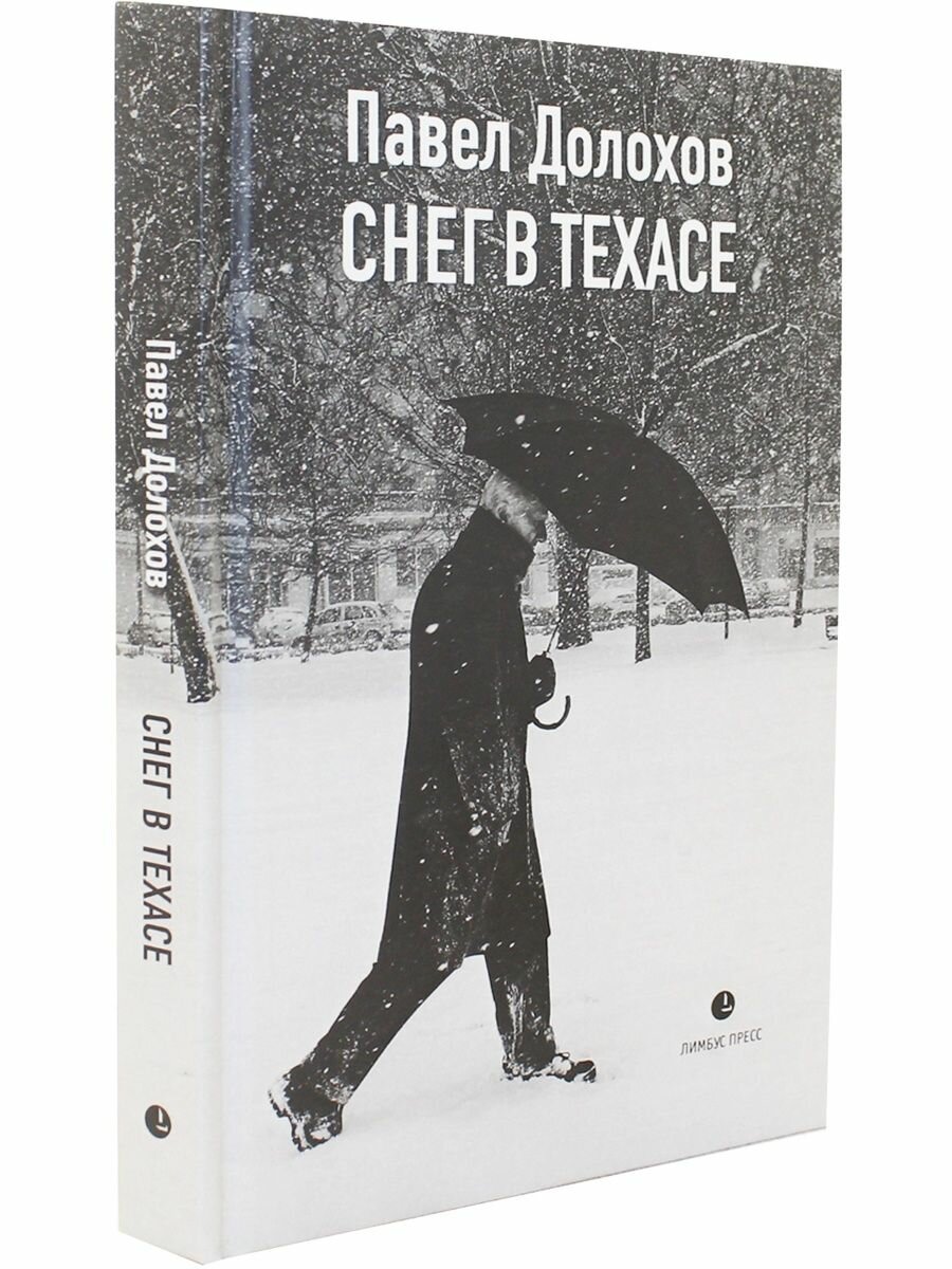 Снег в Техасе — фото 1