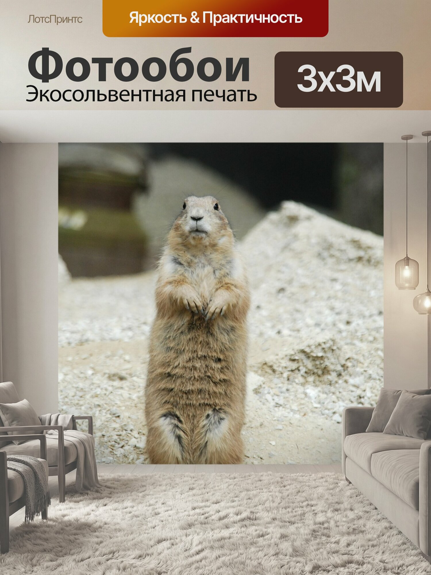 Фотообои "Луговая собачка, грызун, песок" 300x300 см. экосольвентная печать