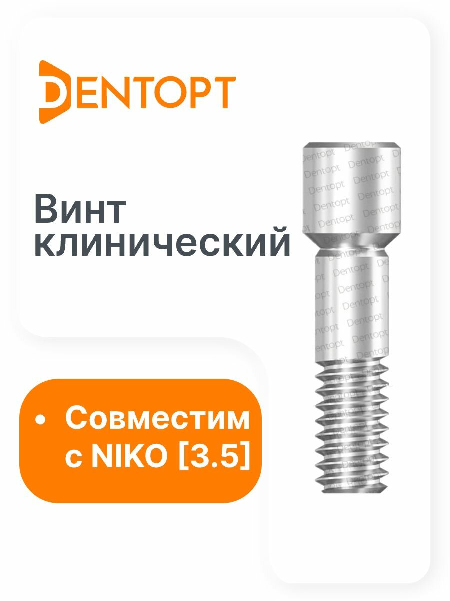Винт клинический NIKO 3.5 1 шт