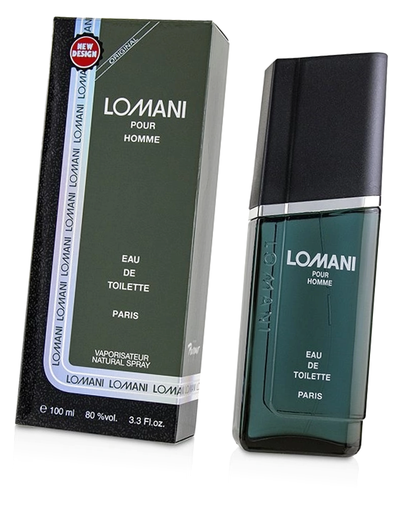 Туалетная вода Lomani Pour Homme 100 мл для мужчин - Ломани Пур Хом