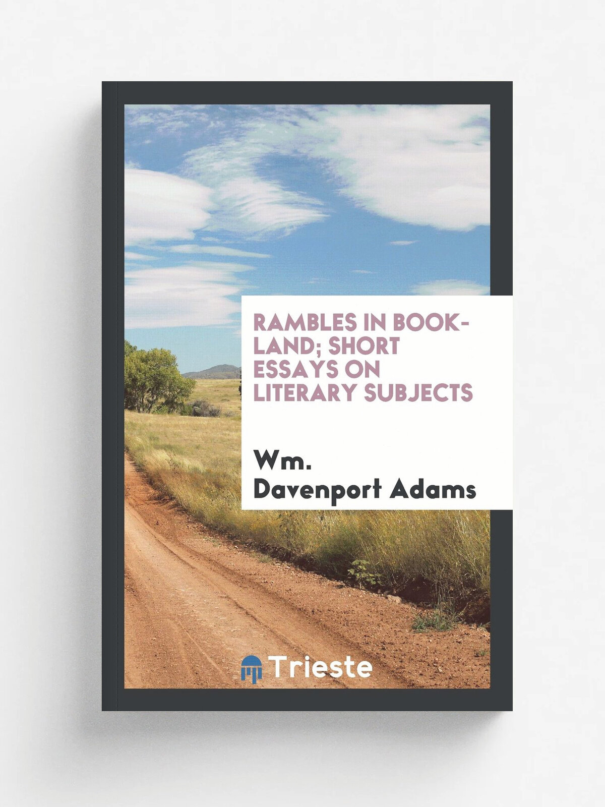 Rambles in book-land; short essays on literary subjects