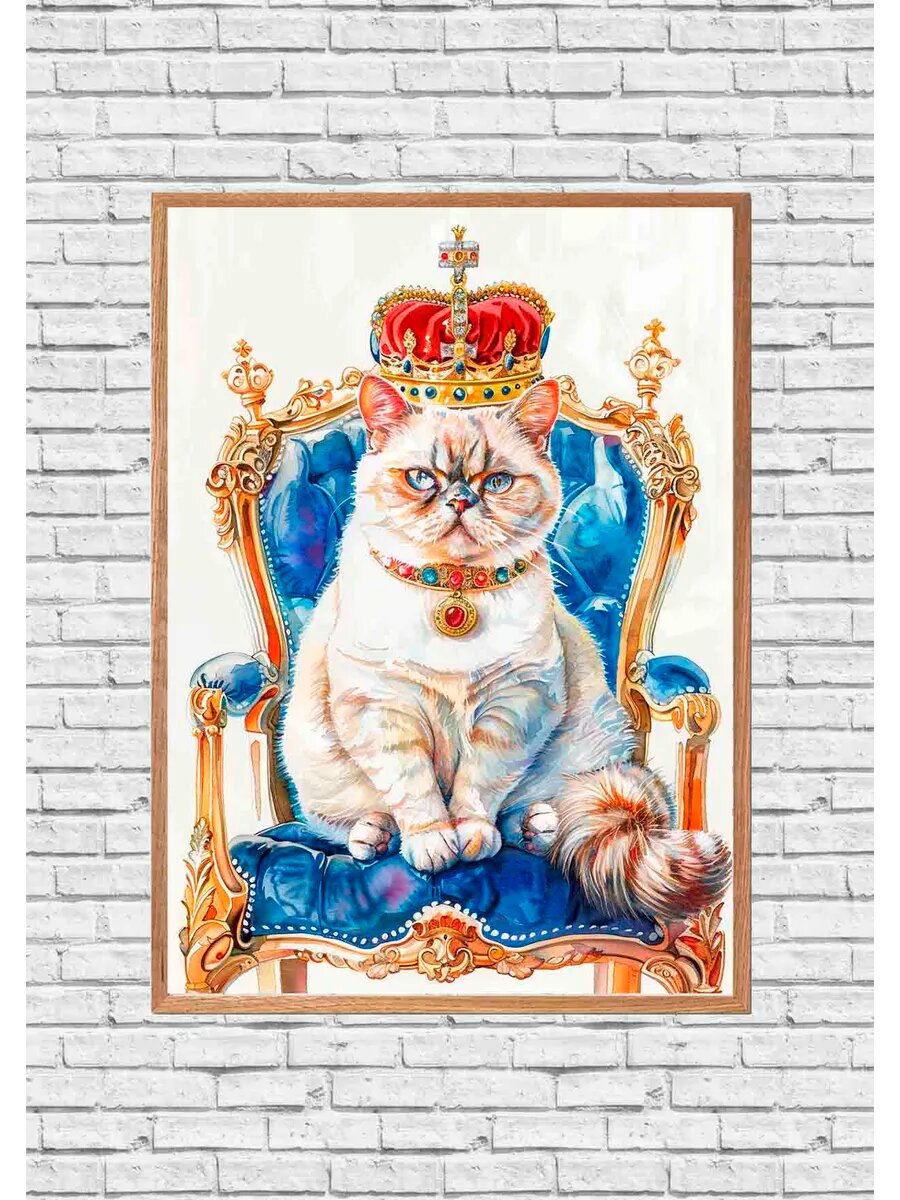 Экзотическая короткошерстная кошка королева Англии 0, Плака