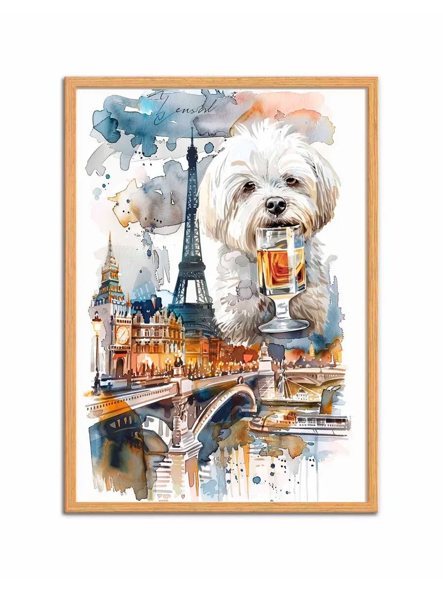 Собака Котон де Тулеар пьет виски 3, Плакат 30x42см