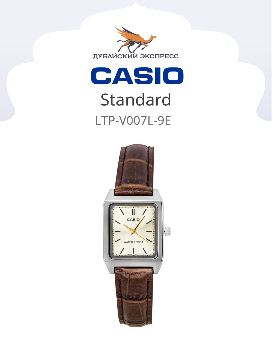  CASIO