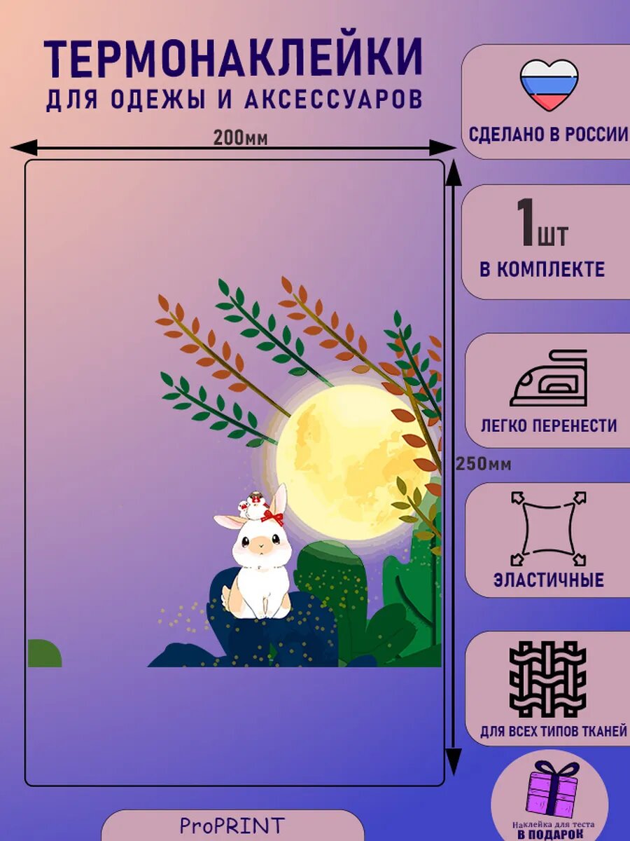 Термонаклейка на одежду