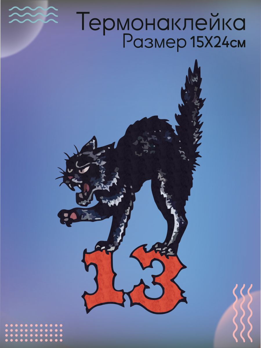 Термонаклейка на одежду Кот 13
