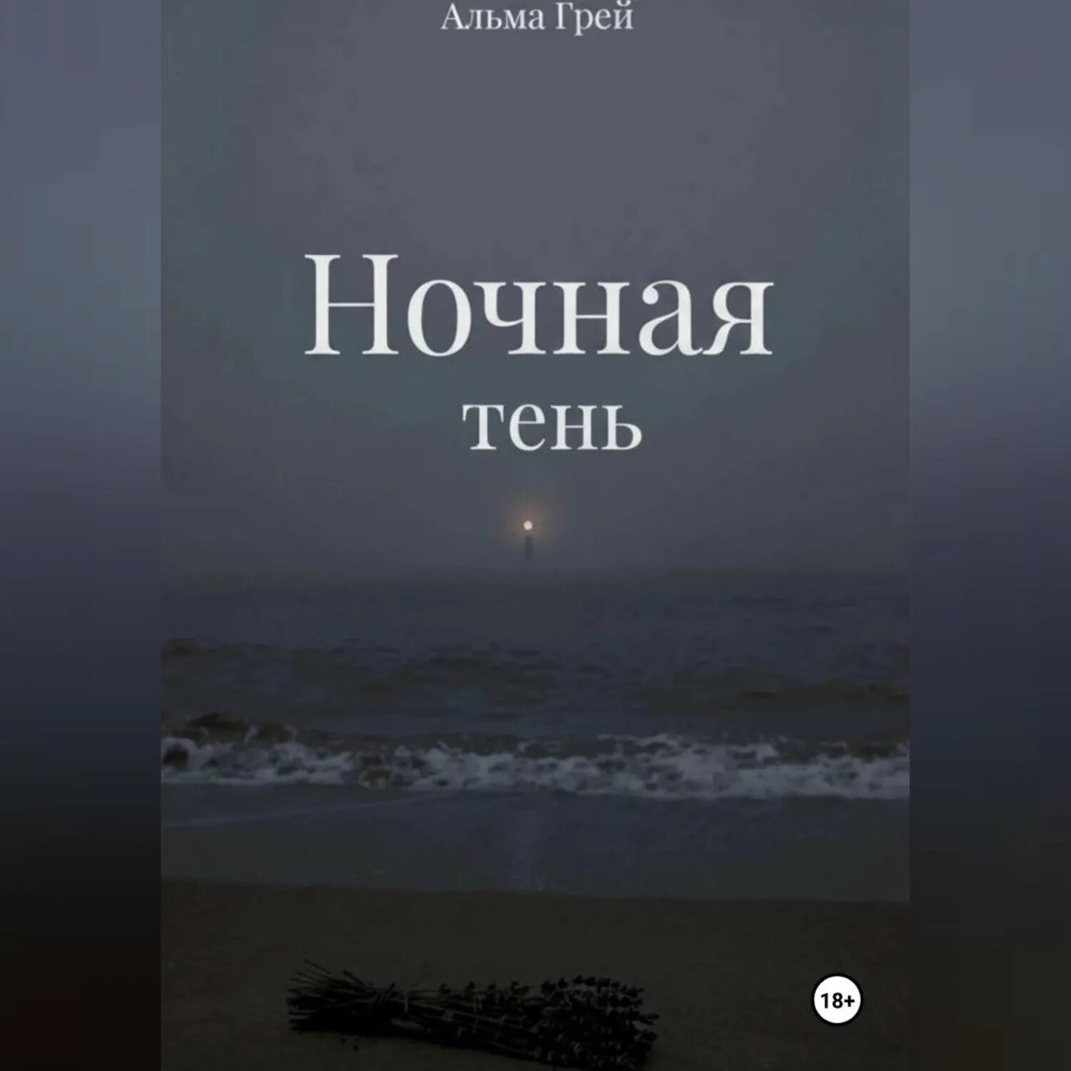 Ночная тень [Аудиокнига]