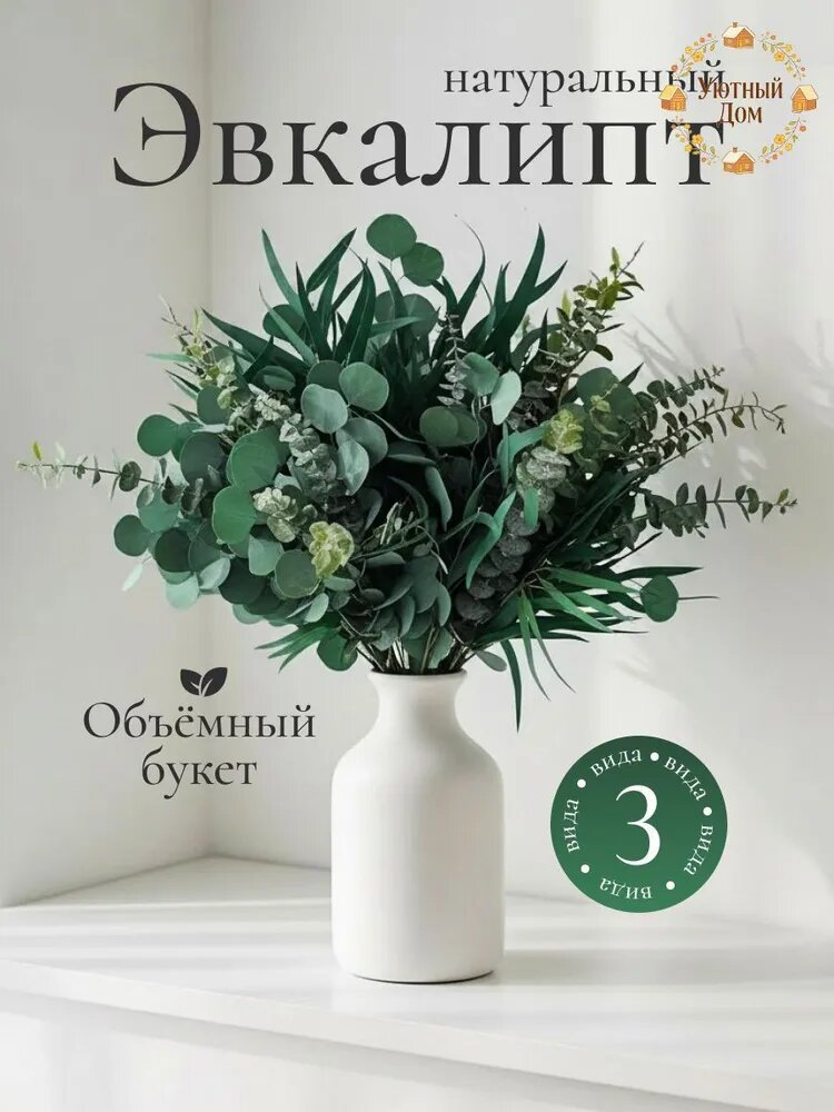 Сухоцветы Яблоня, Эвкалипт, 42 см