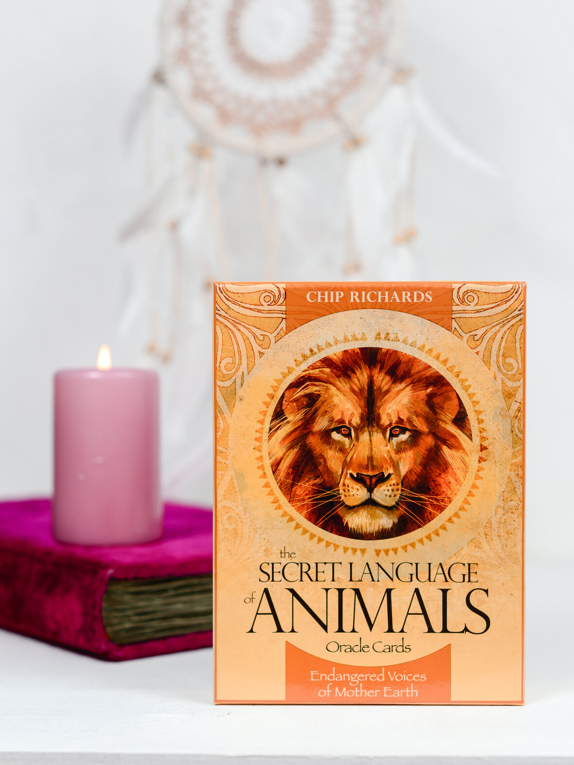 Карты Оракула секретный язык животных / Secret Language of Animals