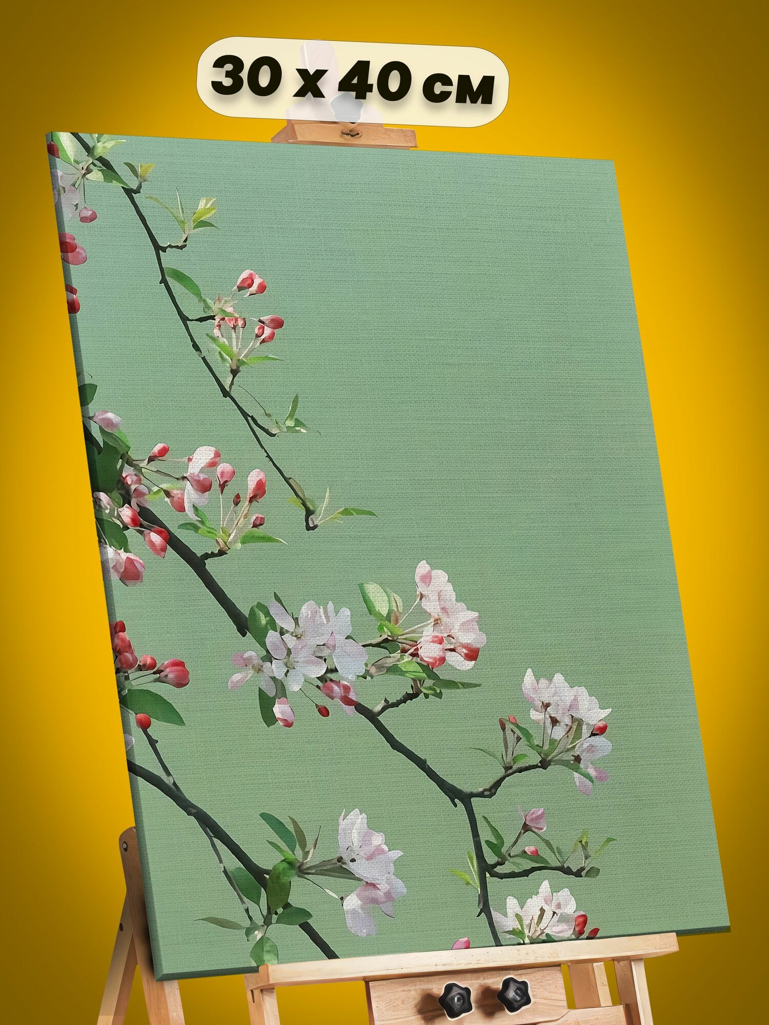 Картина на стену Цветы ветка яблони 30x40