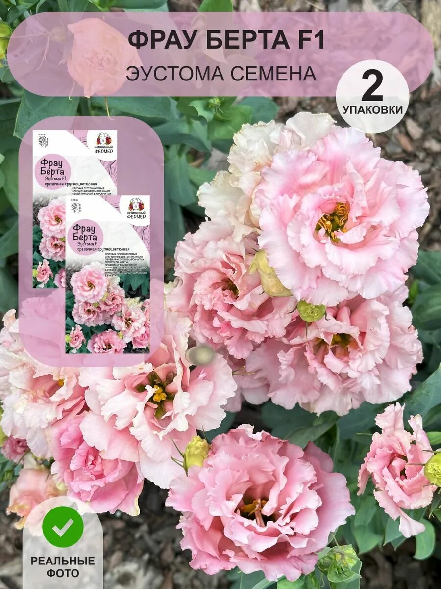 Семена Нетипичный фермер "Фрау Берта", эустома, однолетние, для всех регионов