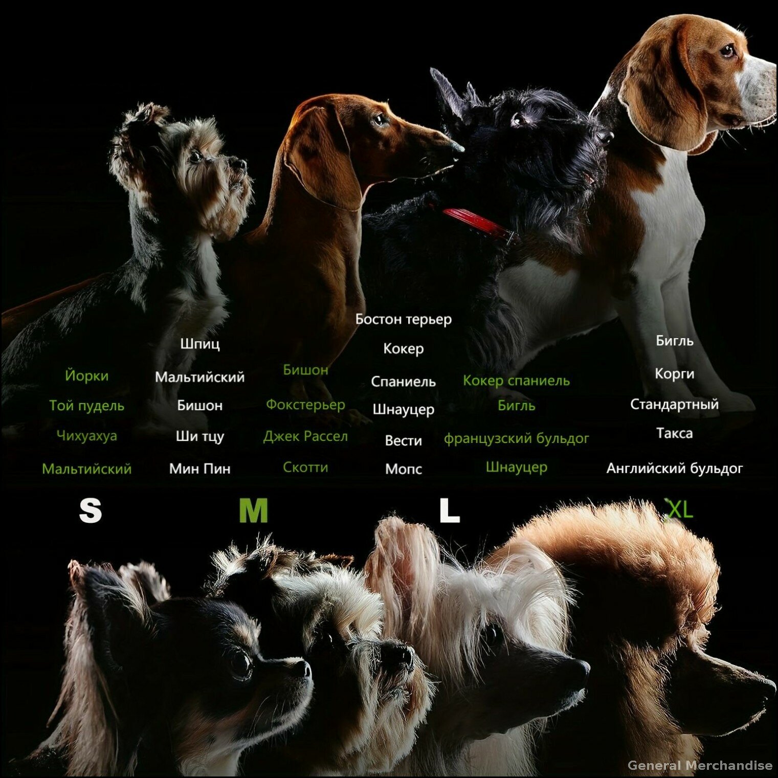 Pet Одежда Собаки — фото 1