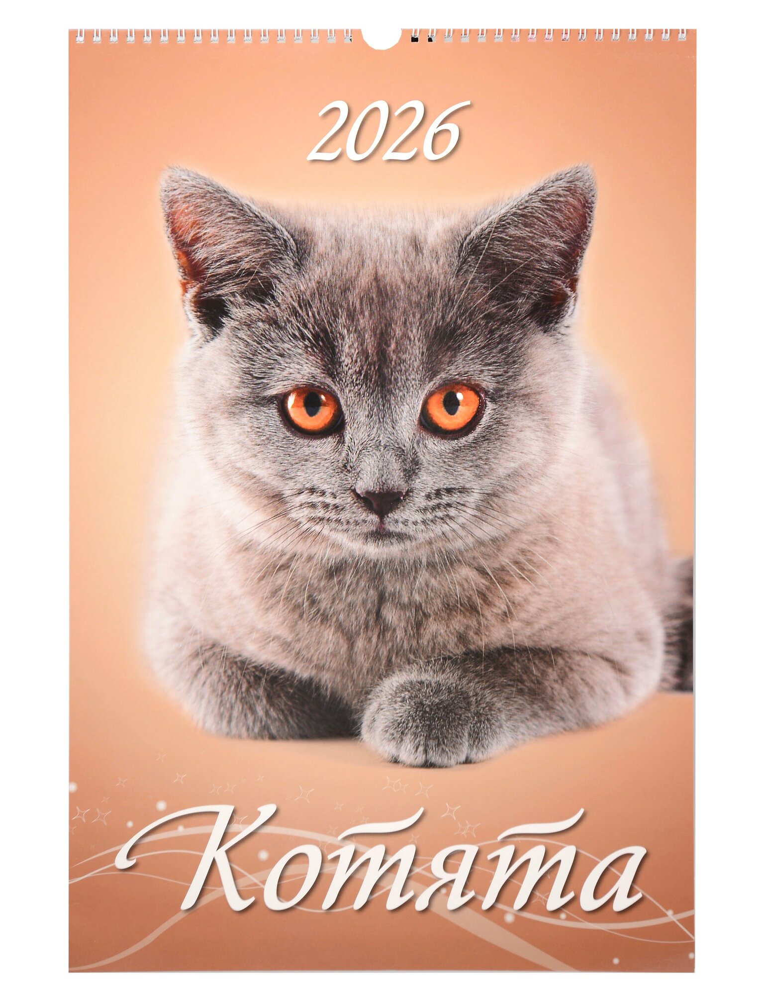 Календарь 2026г 320*480 "Котята" настенный, на спирали
