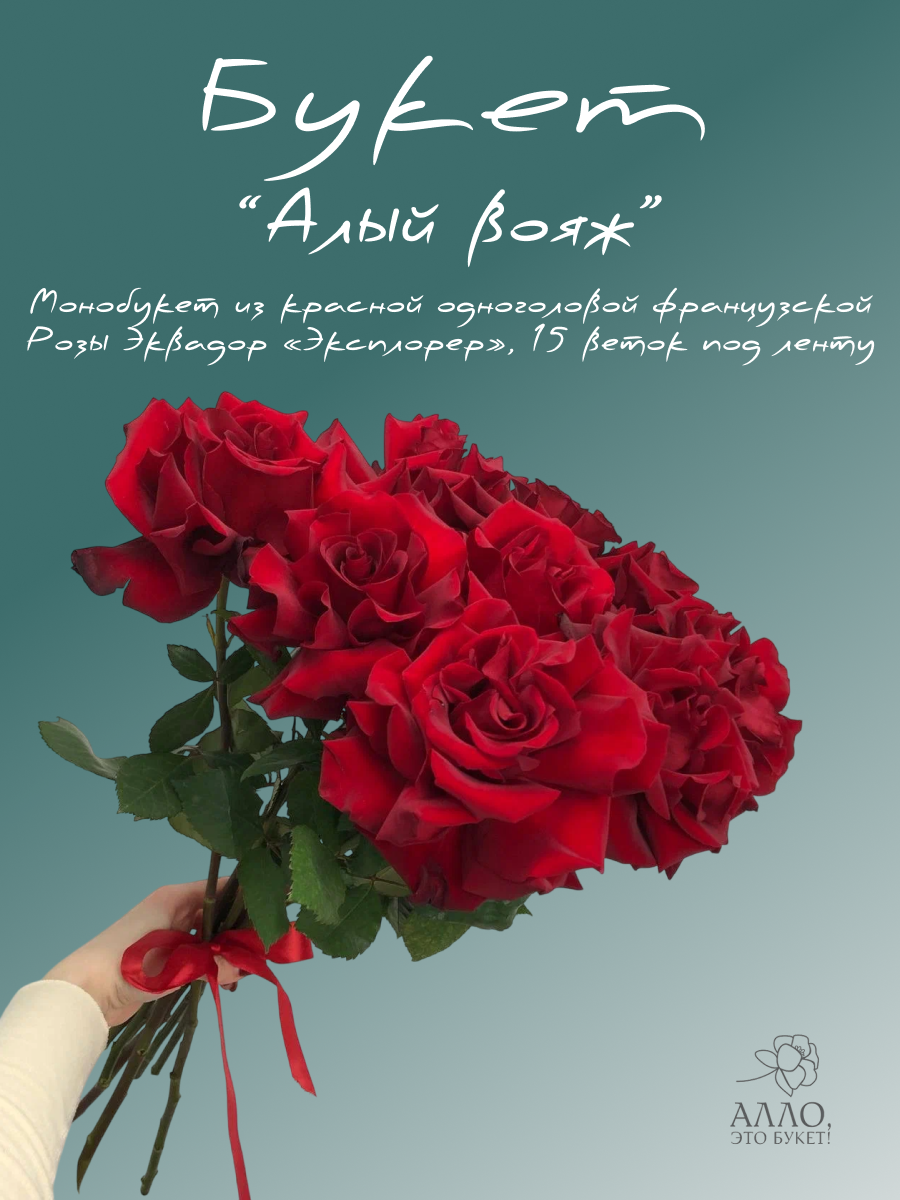 "Алый вояж" Монобукет из одноголовой французской Розы Эквадор «Эксплорер», 15 веток под ленту