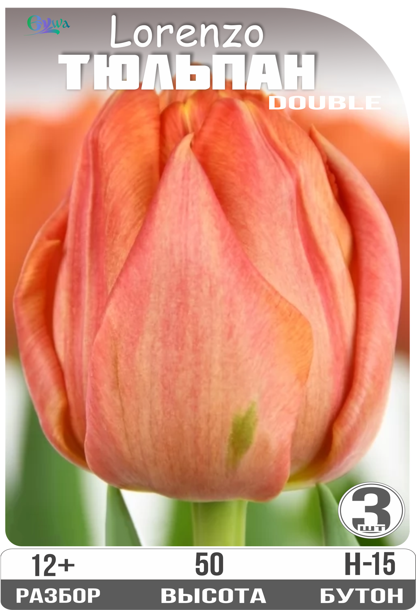Тюльпаны "Лоренцо", крупные разбор 12+, пионовидные, поздние, 3 шт Eywa