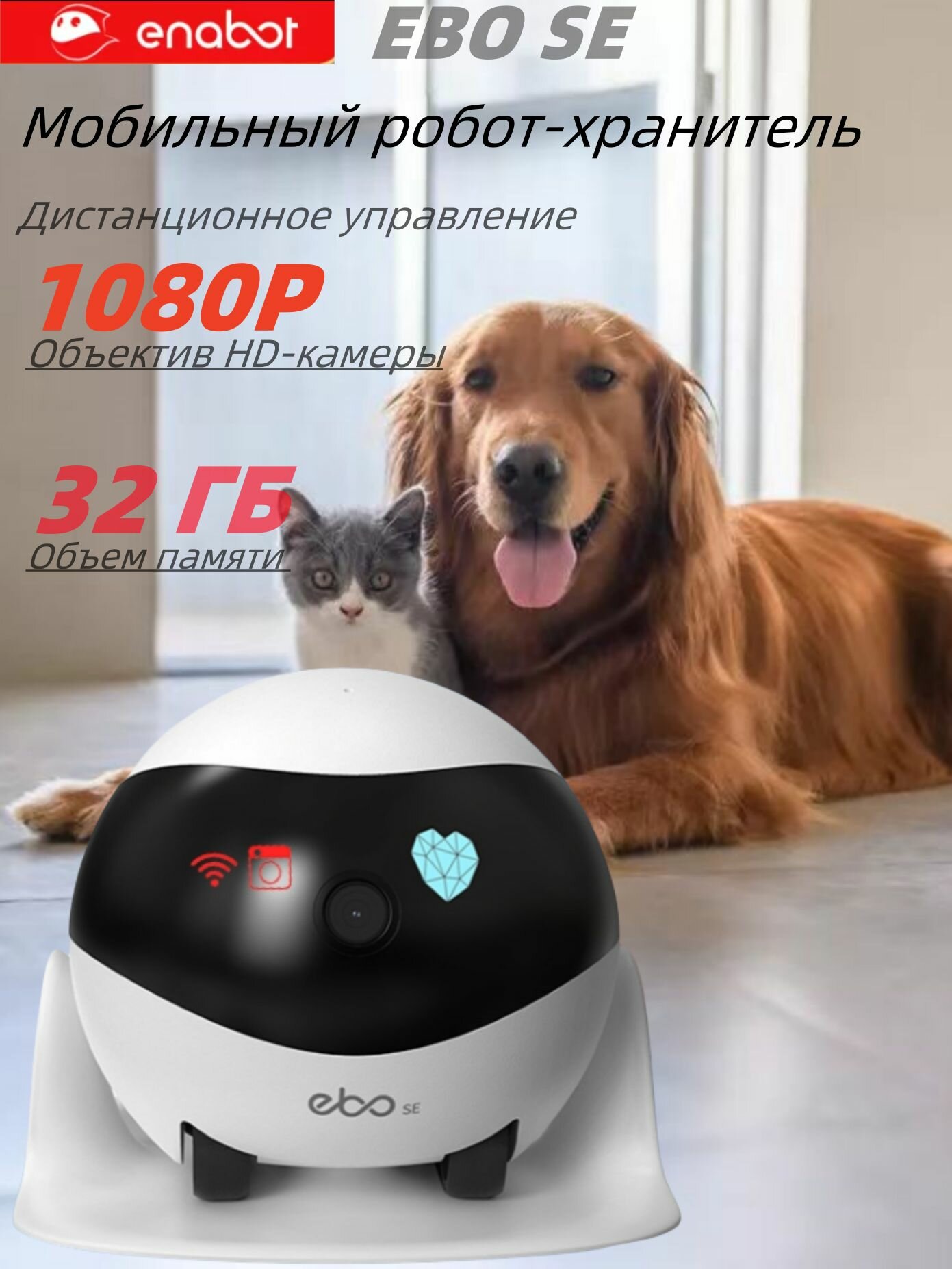 Видеоняня для животных