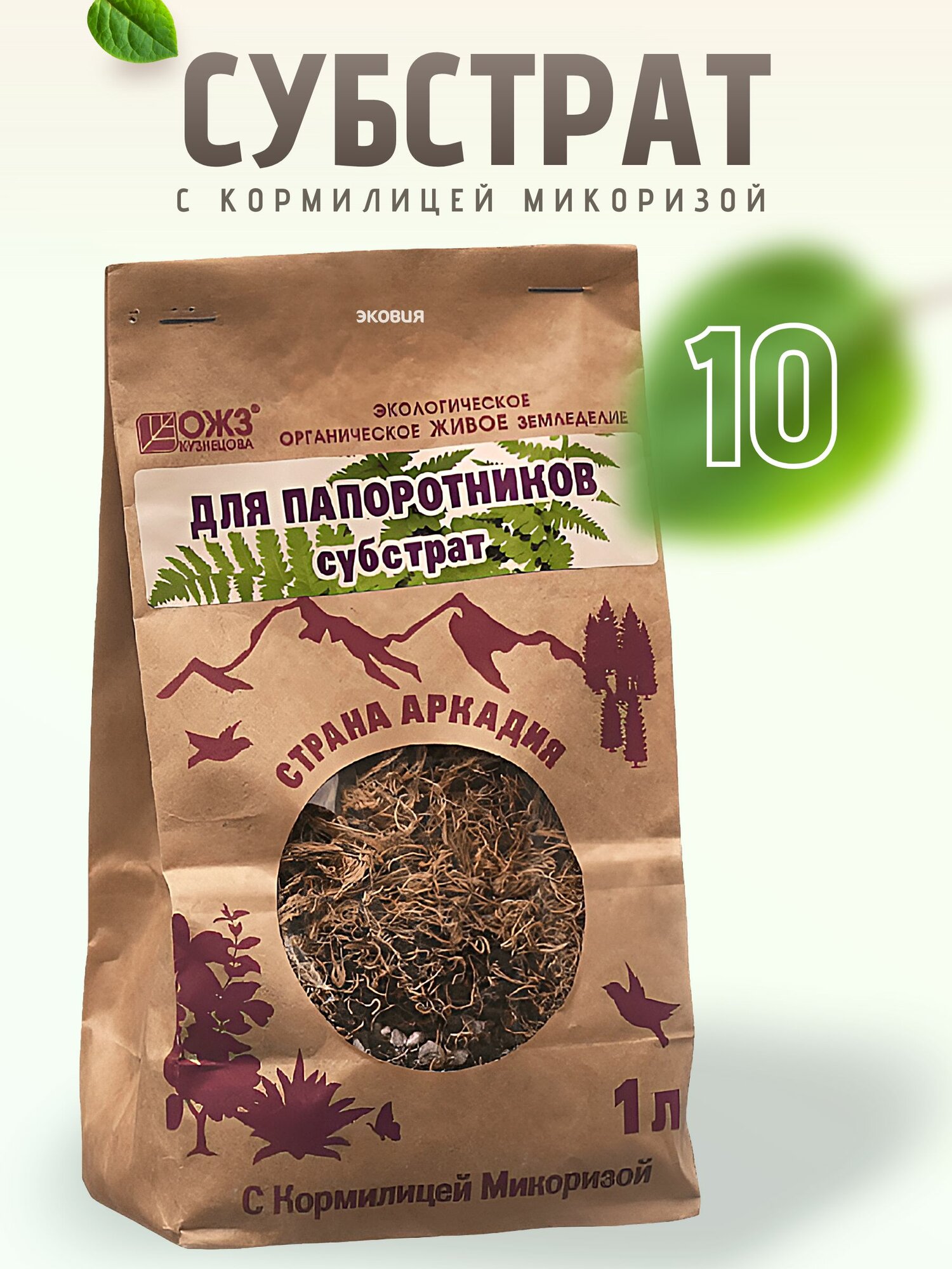 Субстрат с кормилицей для выращивания папоротников 10 шт