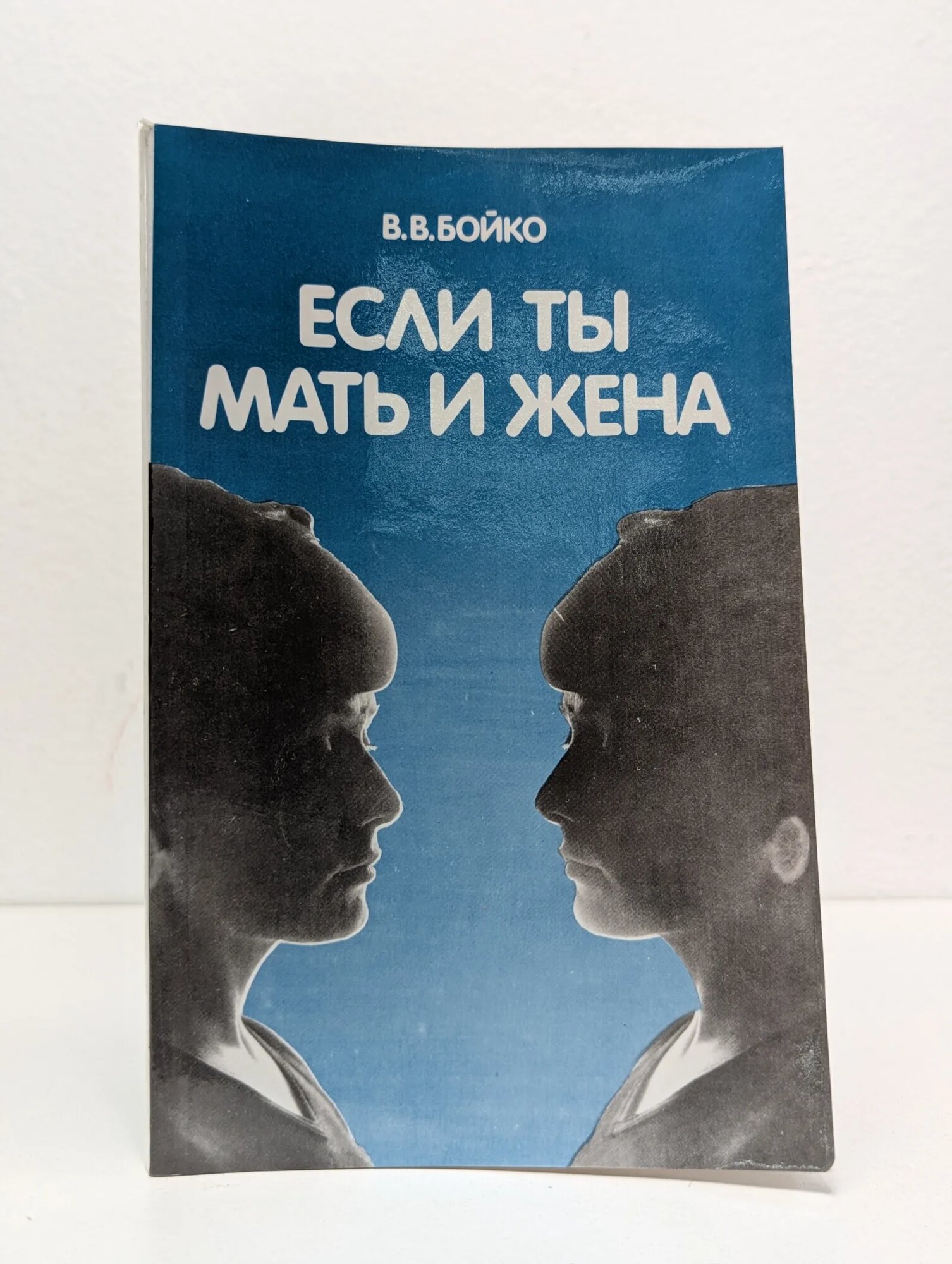 Если ты мать и жена Бойко Виктор Васильевич 1991