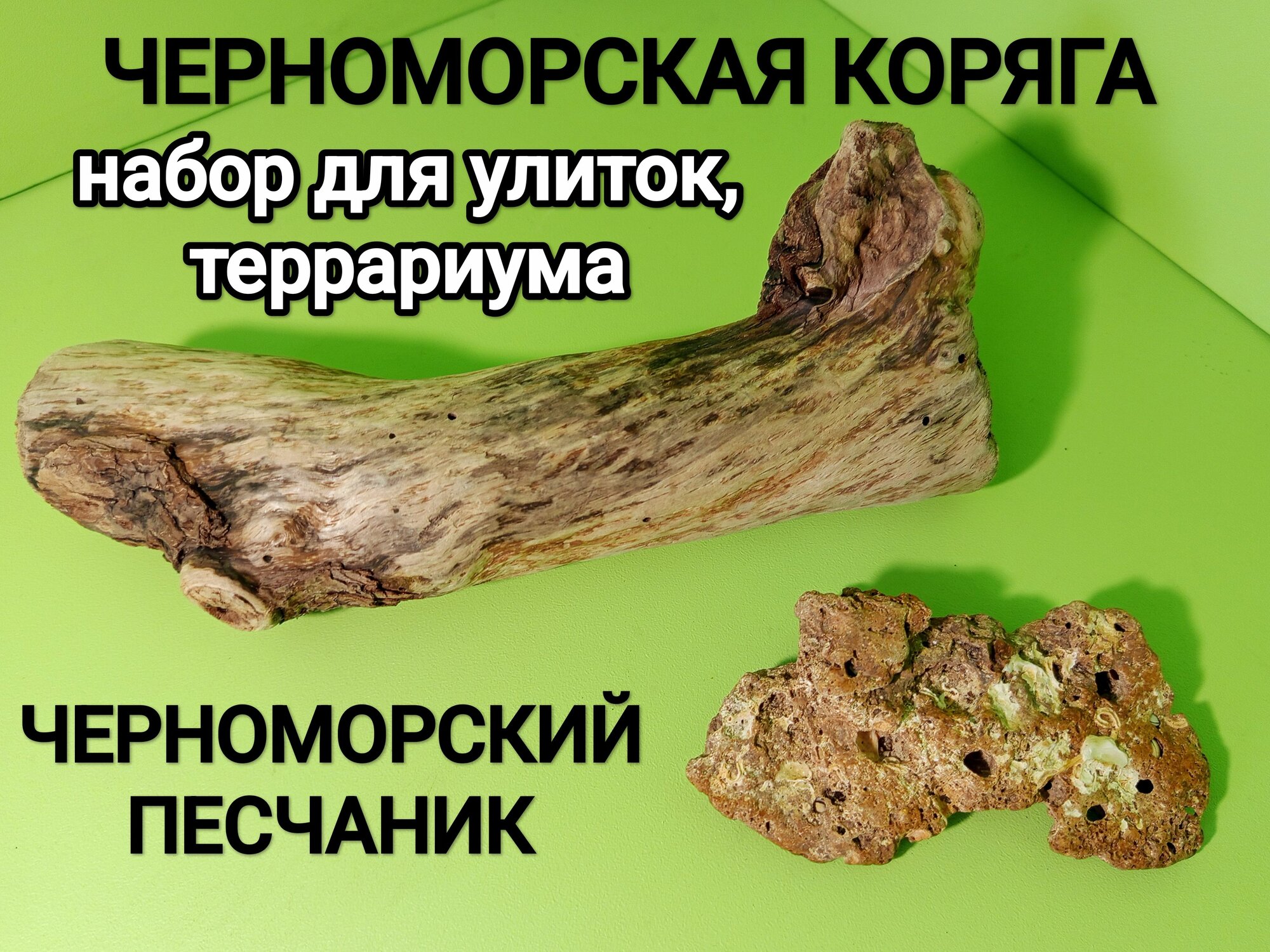 Черноморский набор глянцевый остров С песчаником для улиток, ящериц, змей, террариума и аквариума.