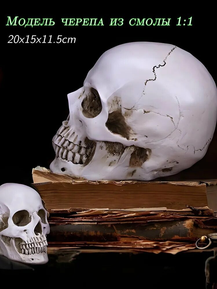 Модель 1:1 обучающая анатомия, украшение в виде человеческого черепа из смолы