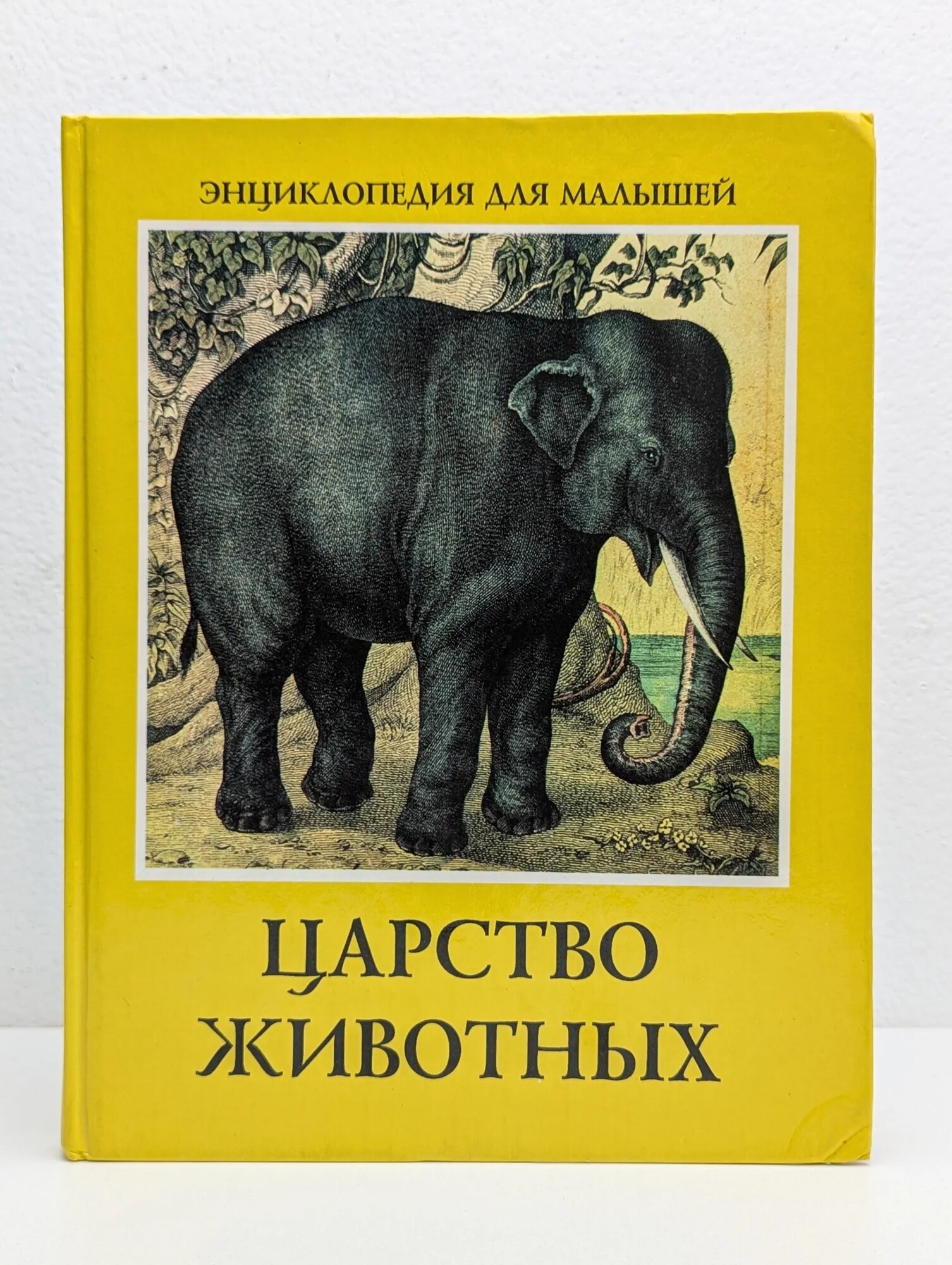 Царство животных. Энциклопедия для малышей 1994