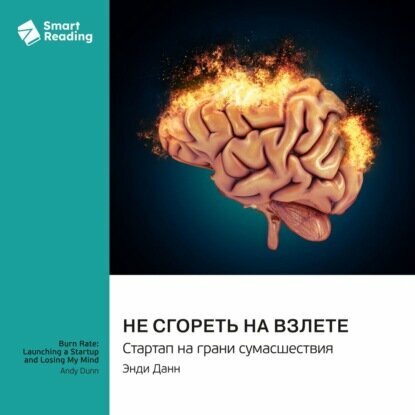 Не сгореть на взлете. Стартап на грани сумасшествия. Энди Данн. Саммари [Аудиокнига]