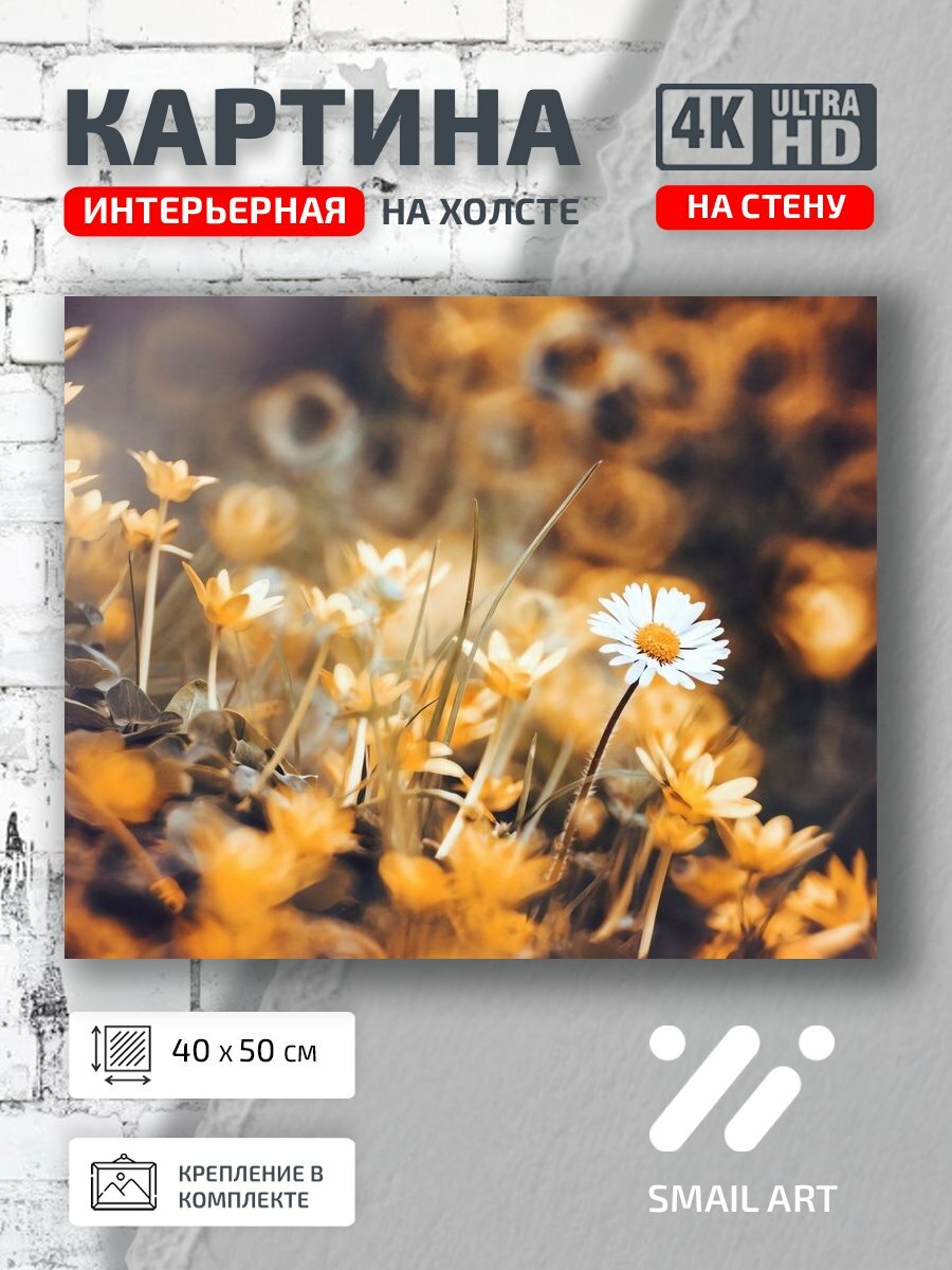 Картина на холсте интерьерная 40 на 50 на стену Ромашки Landscape для кафе пейзаж интерьер