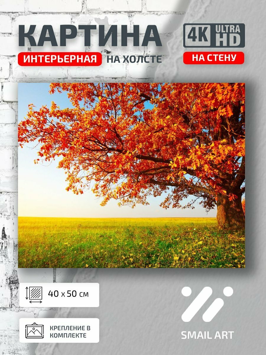 Картина на холсте интерьерная 40 на 50 на стену Поле Landscape для кафе пейзаж интерьер