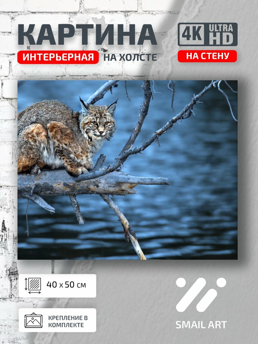 Картина на холсте интерьерная 40 на 50 на стену Дереве Mood для студии атмосфера интерьер