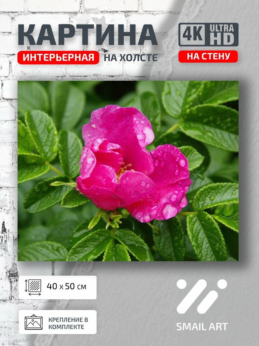 Картина на холсте интерьерная 40 на 50 на стену Капли Mood для кабинета атмосфера интерьер