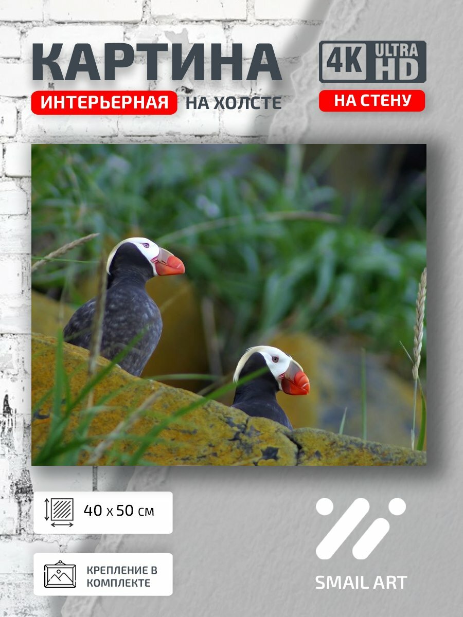 Картина на холсте интерьерная 40 на 50 на стену Тупик Animal для детской animal style декор