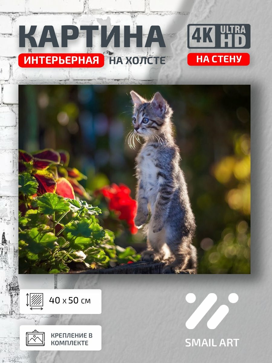 Картина на холсте интерьерная 40 на 50 на стену Котенок Animal для детской animal style