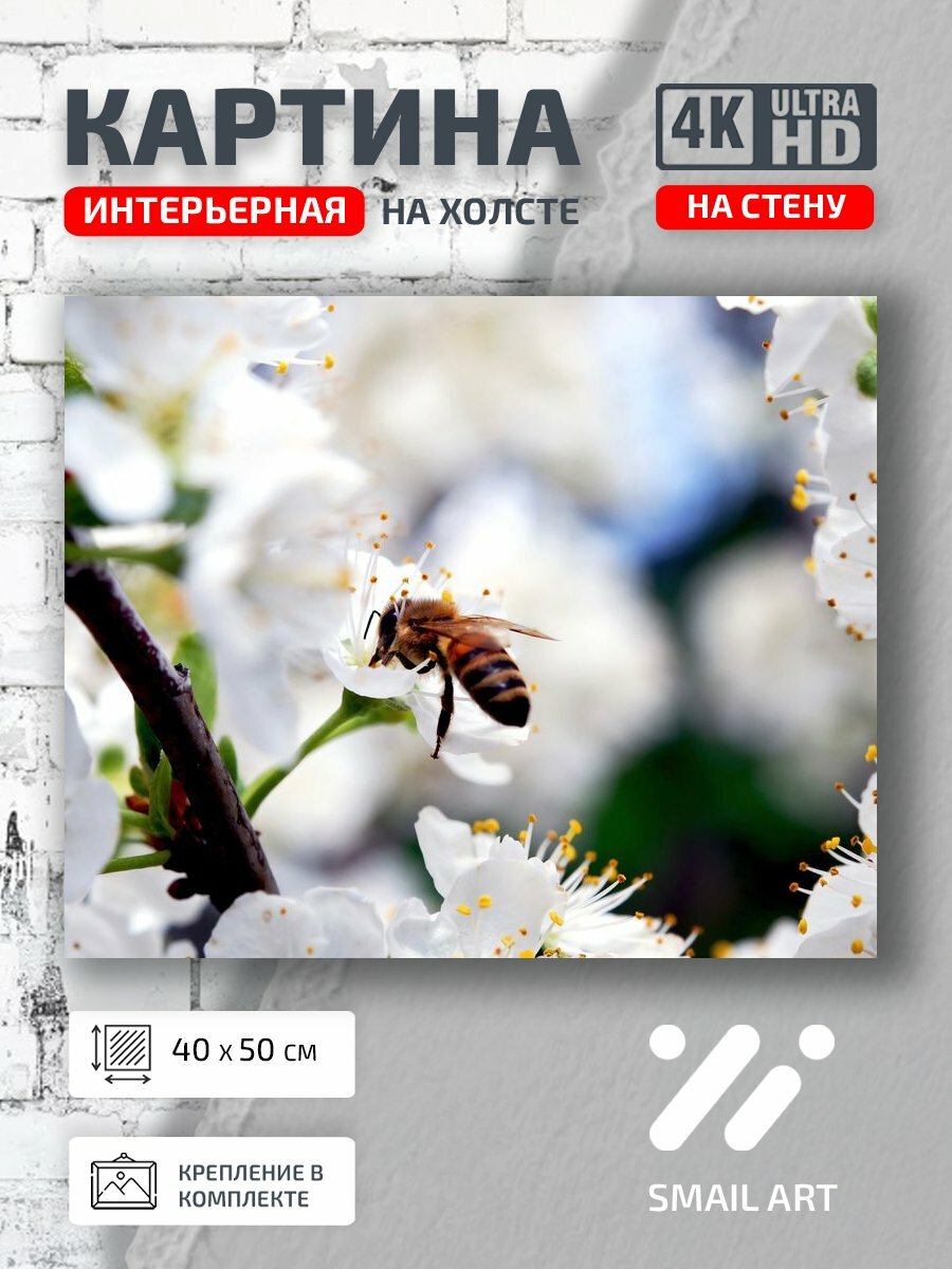Картина на холсте интерьерная 40 на 50 на стену Опыление Mood для офиса атмосфера интерьер