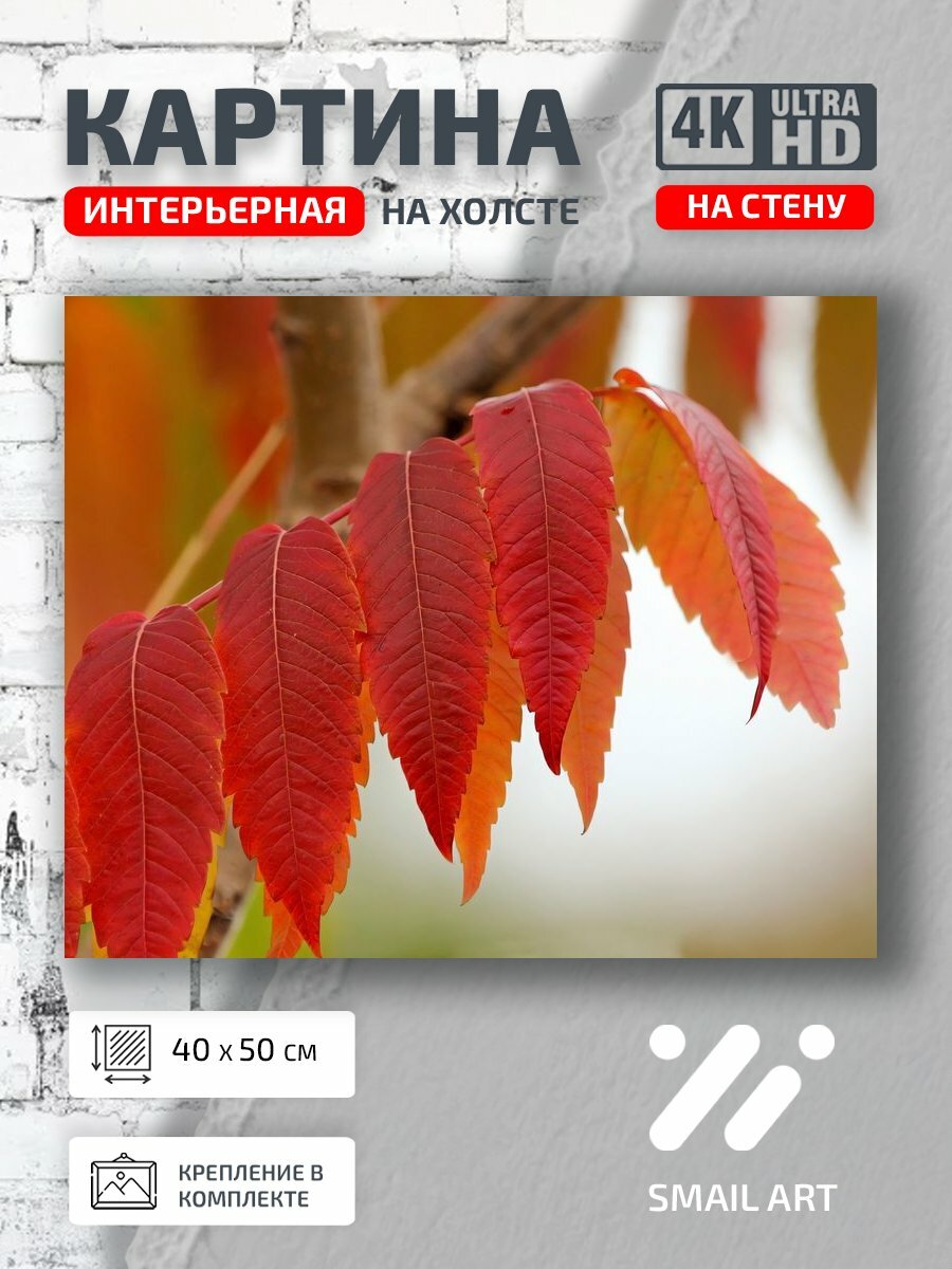 Картина на холсте интерьерная 40 на 50 на стену Осень Landscape для кафе пейзаж интерьер