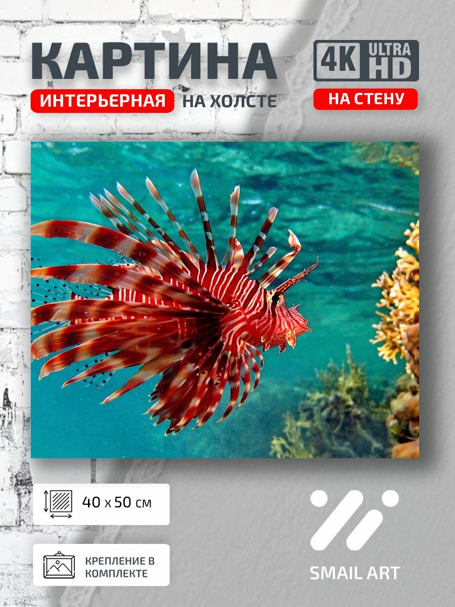 Картина на холсте интерьерная 40 на 50 на стену Риф Landscape для офиса пейзаж интерьер