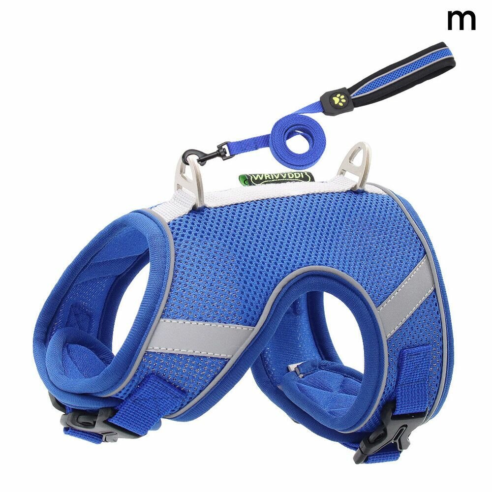 Шлейка и поводок для прогулок, мягкие регулируемые жилетные шлейки с защитой от побега (синий, M)